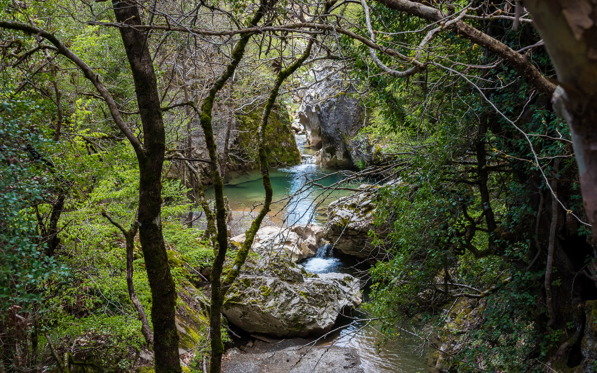 The Menalon Trail Hike - Explore Greece